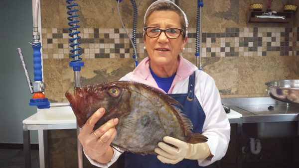 San Martín o Pez de San Pedro - Pescados La Chucha